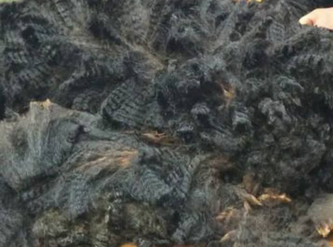 Fleece / Carded Wool – Nat-Ewe-Ral Wool